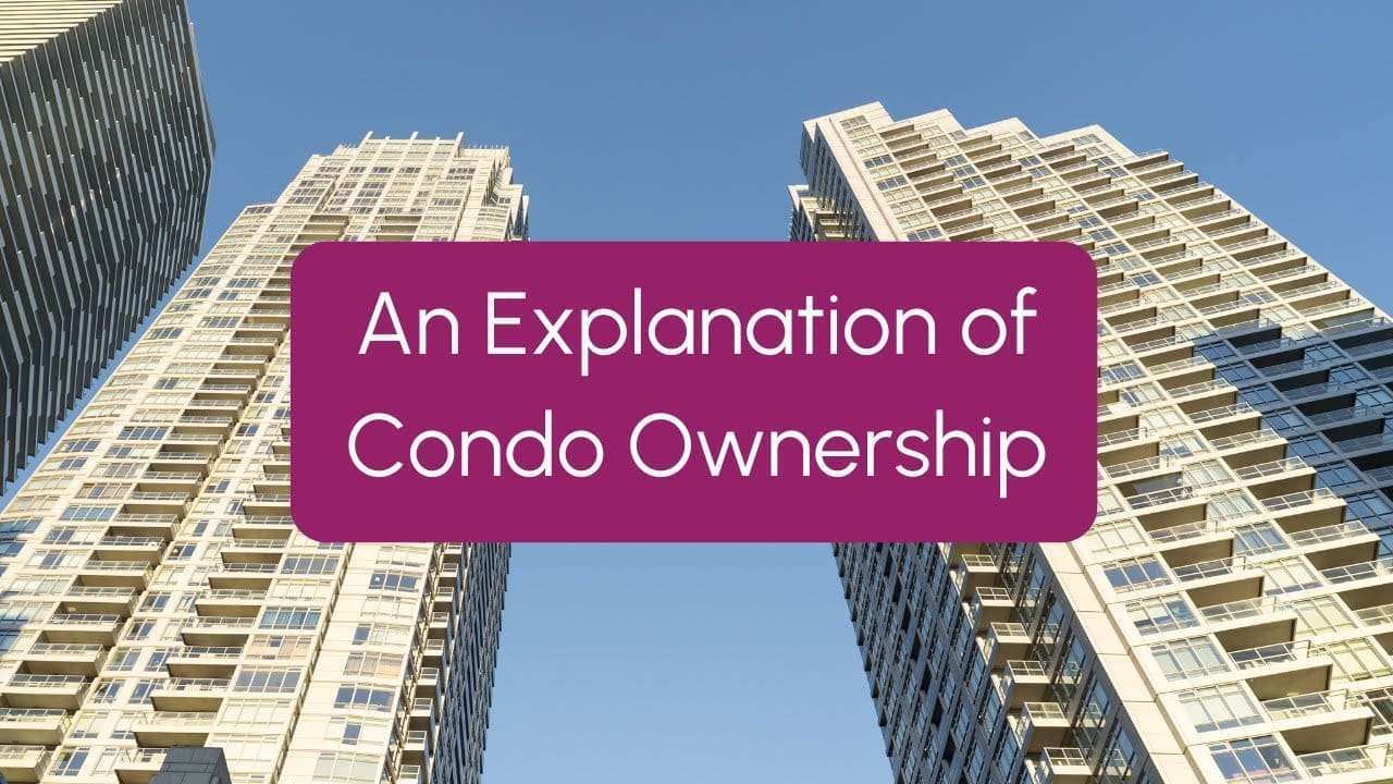 Everything You Need to Know About Condo Ownership